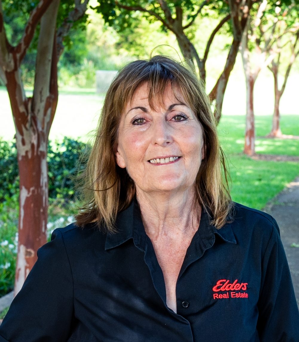 Sue Odgers, Licensed Real Estate Agent | Elders Real Estate Newcastle ...